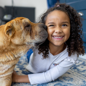 620 Martin Grove | Apartments for Rent in Richview, Etobicoke | Minto ...