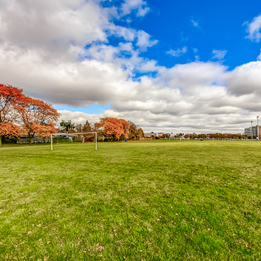 Explore the Heart of Richview, Toronto | Minto Apartments