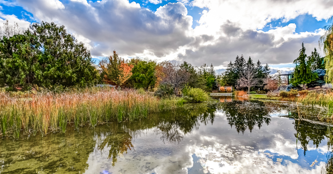 Explore the Heart of Richview, Toronto | Minto Apartments