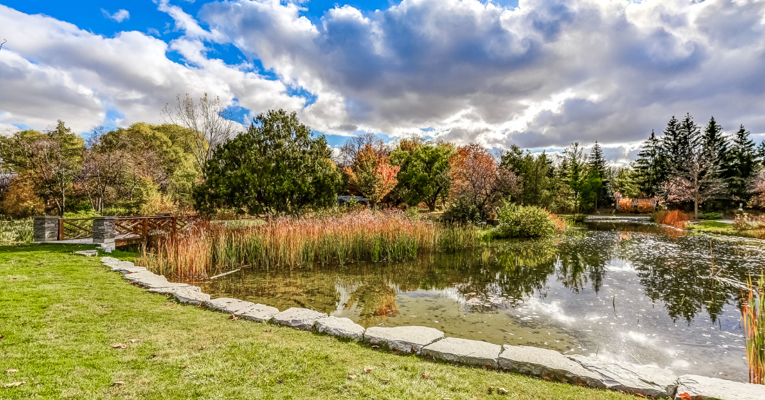 Explore the Heart of Richview, Toronto | Minto Apartments