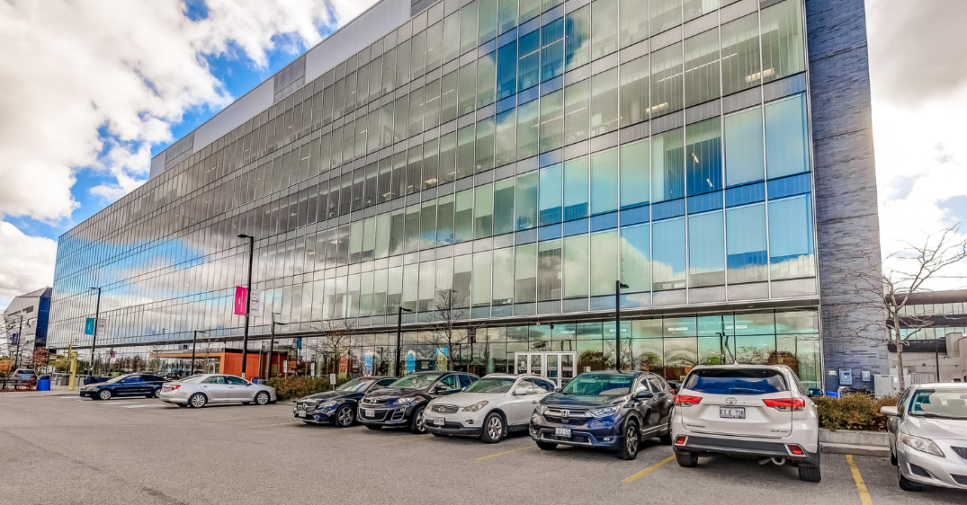 Explore the Heart of Richview, Toronto | Minto Apartments