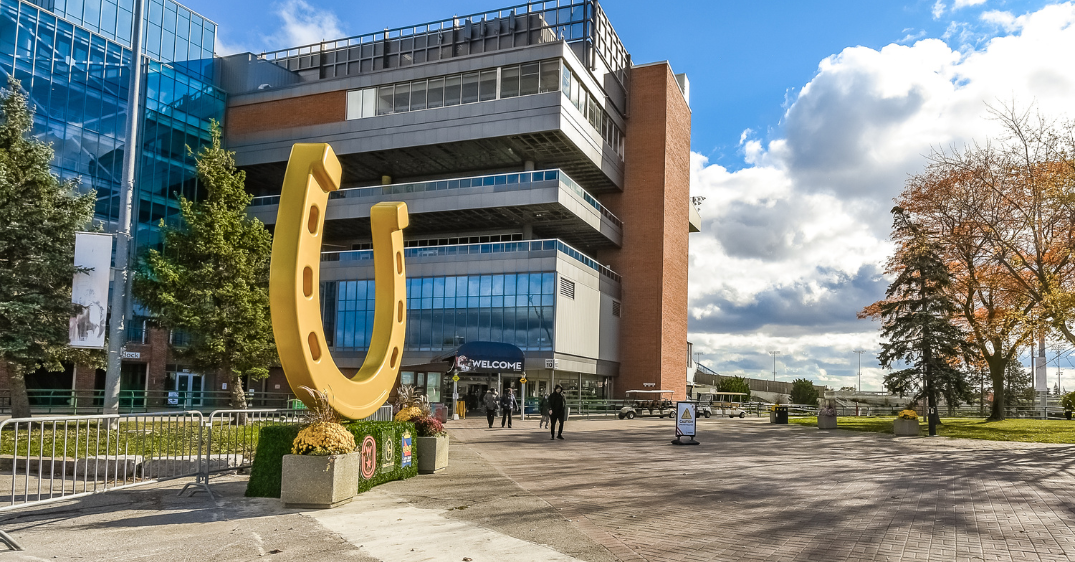 Explore the Heart of Richview, Toronto | Minto Apartments