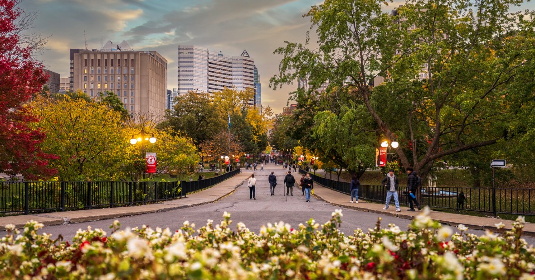 Westmount Montreal Neighbourhood Guide | Minto Apartments