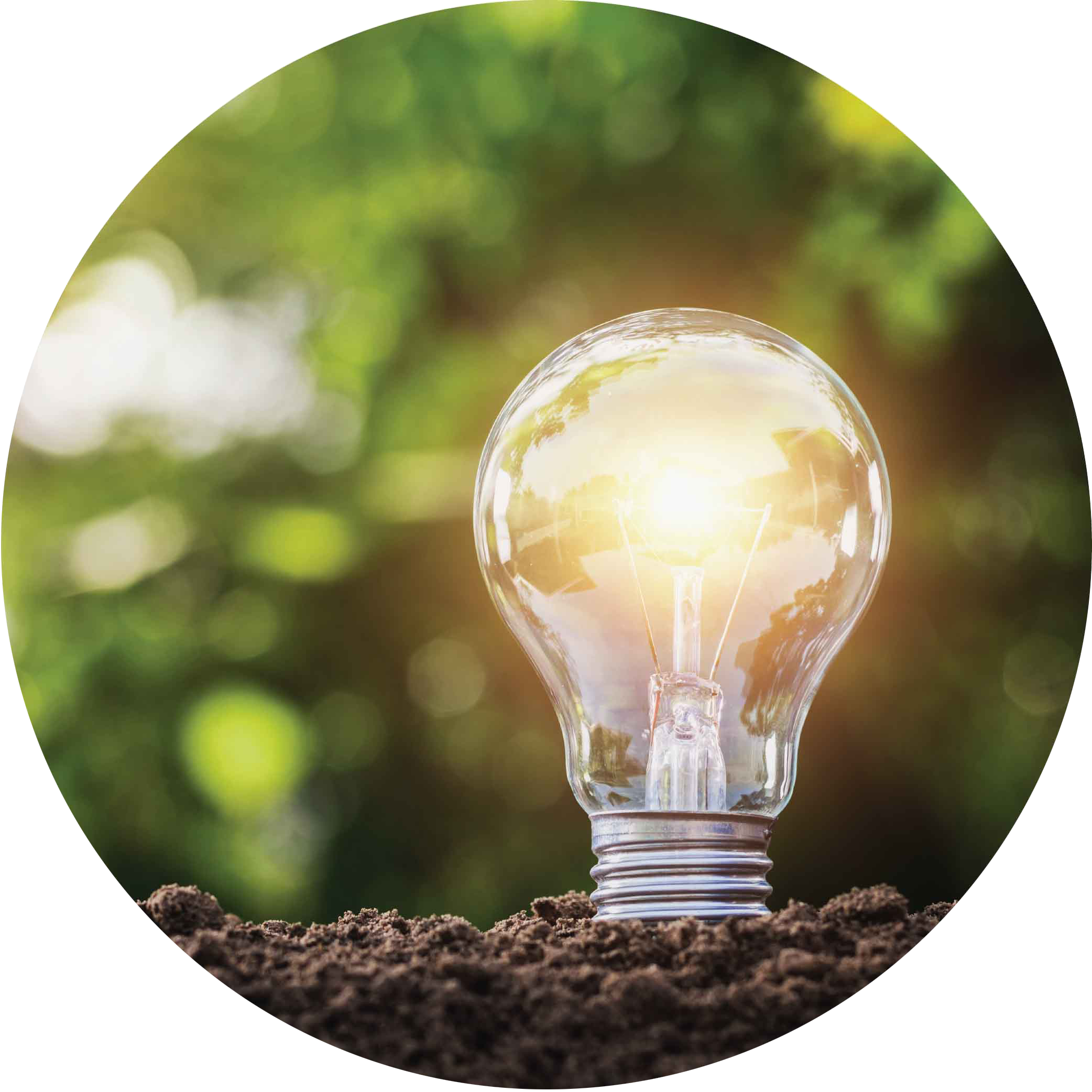 Our History | Minto Group