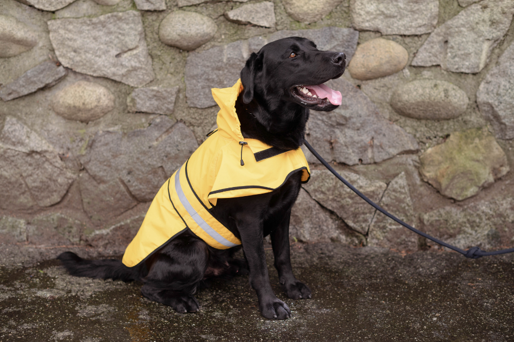 Lonsdale Square - Apartments in Lonsdale, North Vancouver | Minto ...