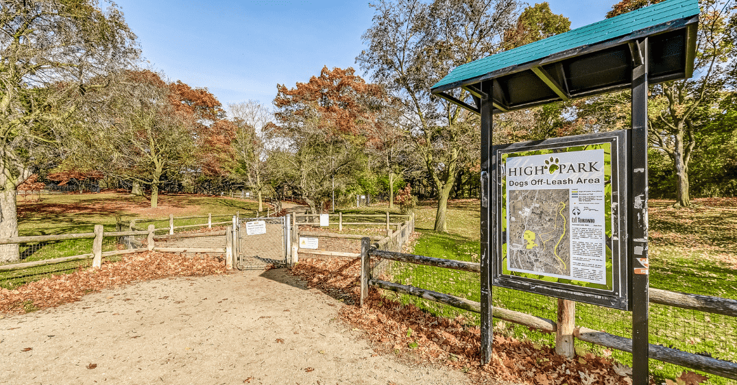 High Park Toronto: A Vibrant Urban Oasis | Minto Apartments