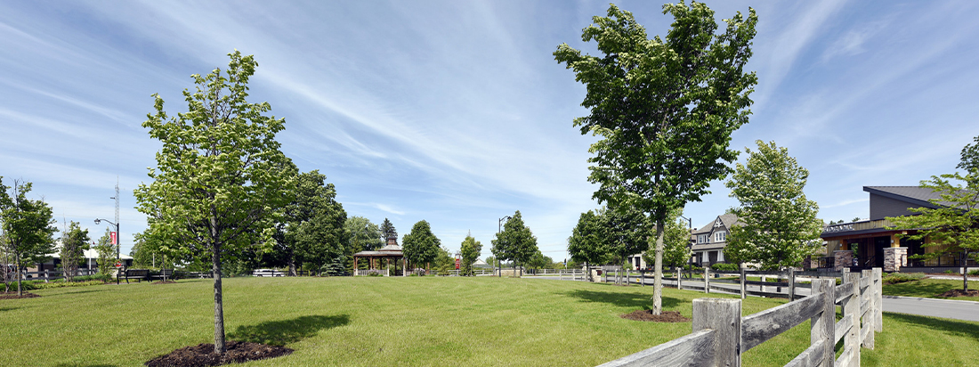 Site Plan | Manotick, ON | Mahogany - Minto Communities